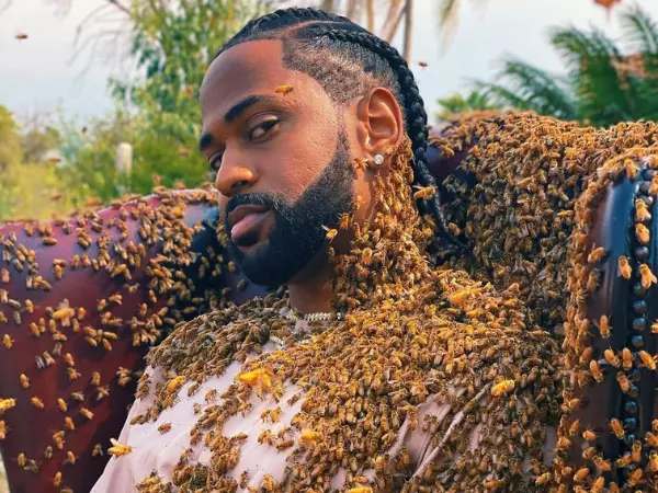 Rapper aparece com o corpo coberto por 65 mil abelhas em novo clipe