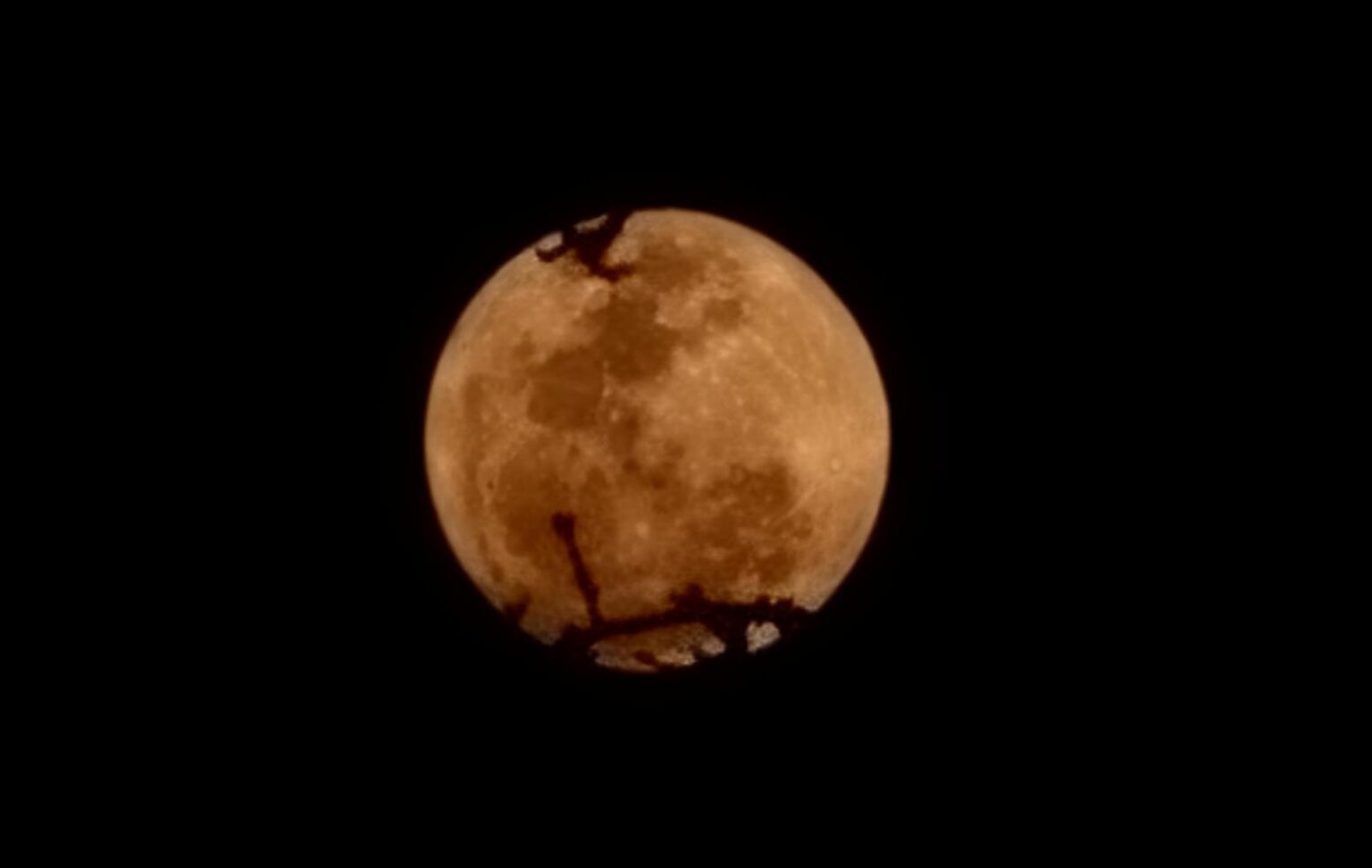 Veja a superlua azul em SC; entenda como funciona o fenômeno