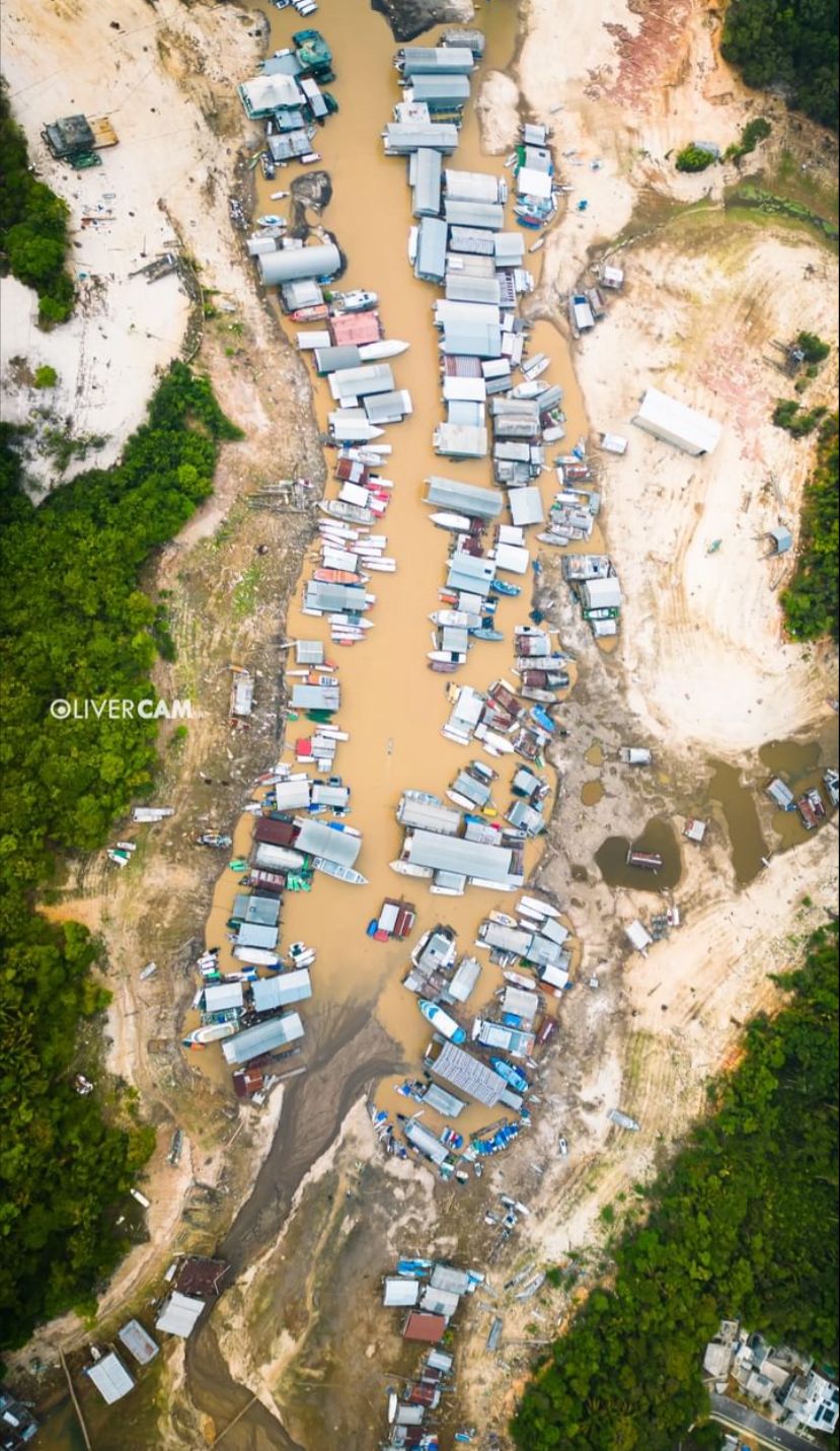 Rio Negro atinge a maior seca da história e imagens impressionam