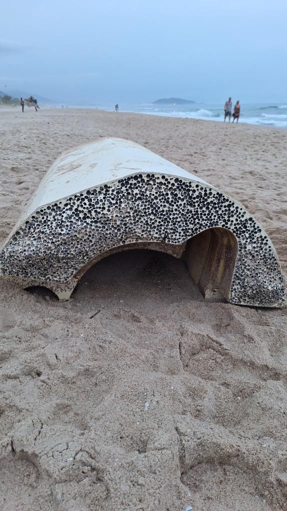 Objeto misterioso surge em praia de SC e intriga moradores; veja