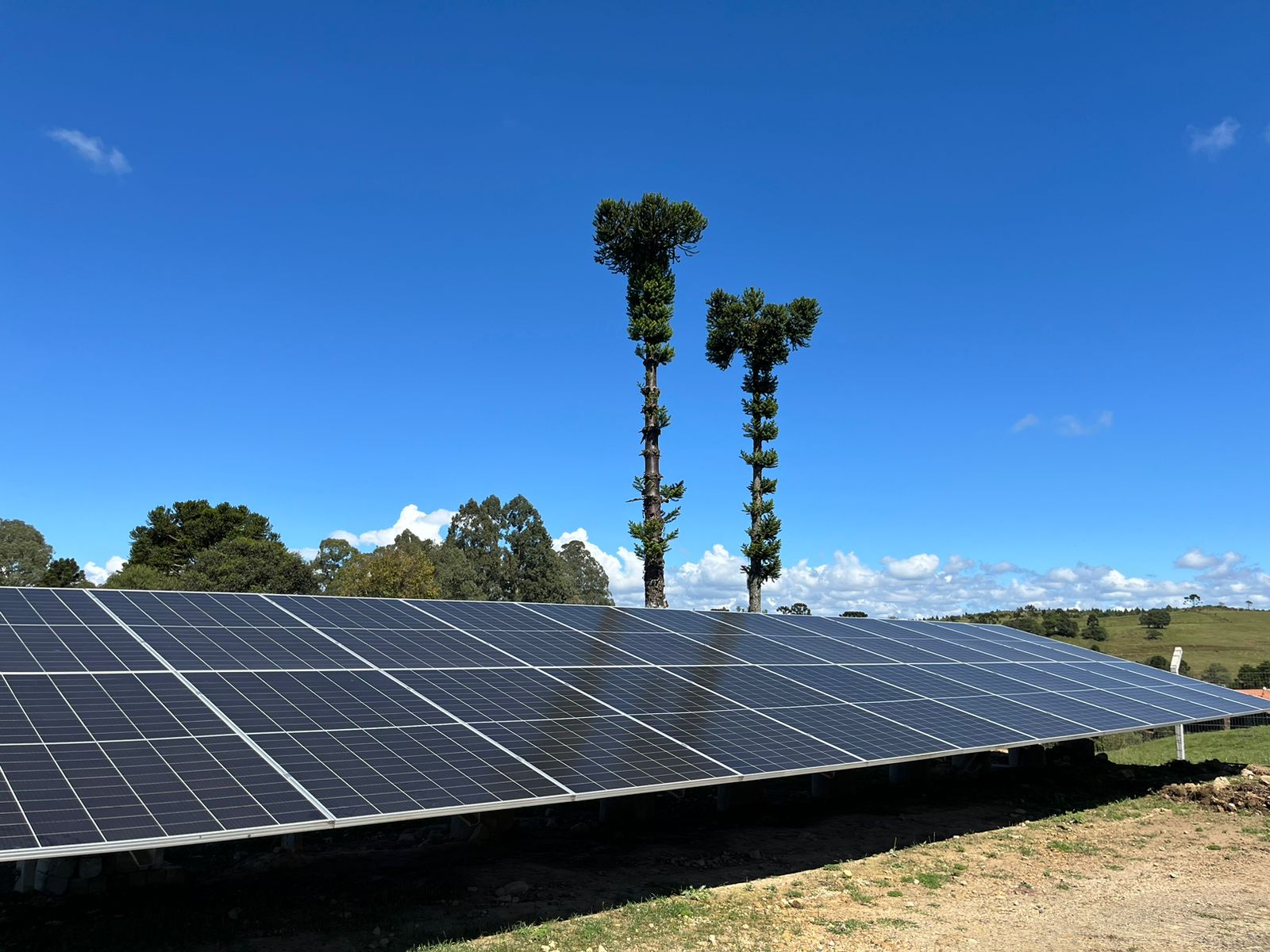 Usina solar marca aniversário de 85 anos do Grupo SCC