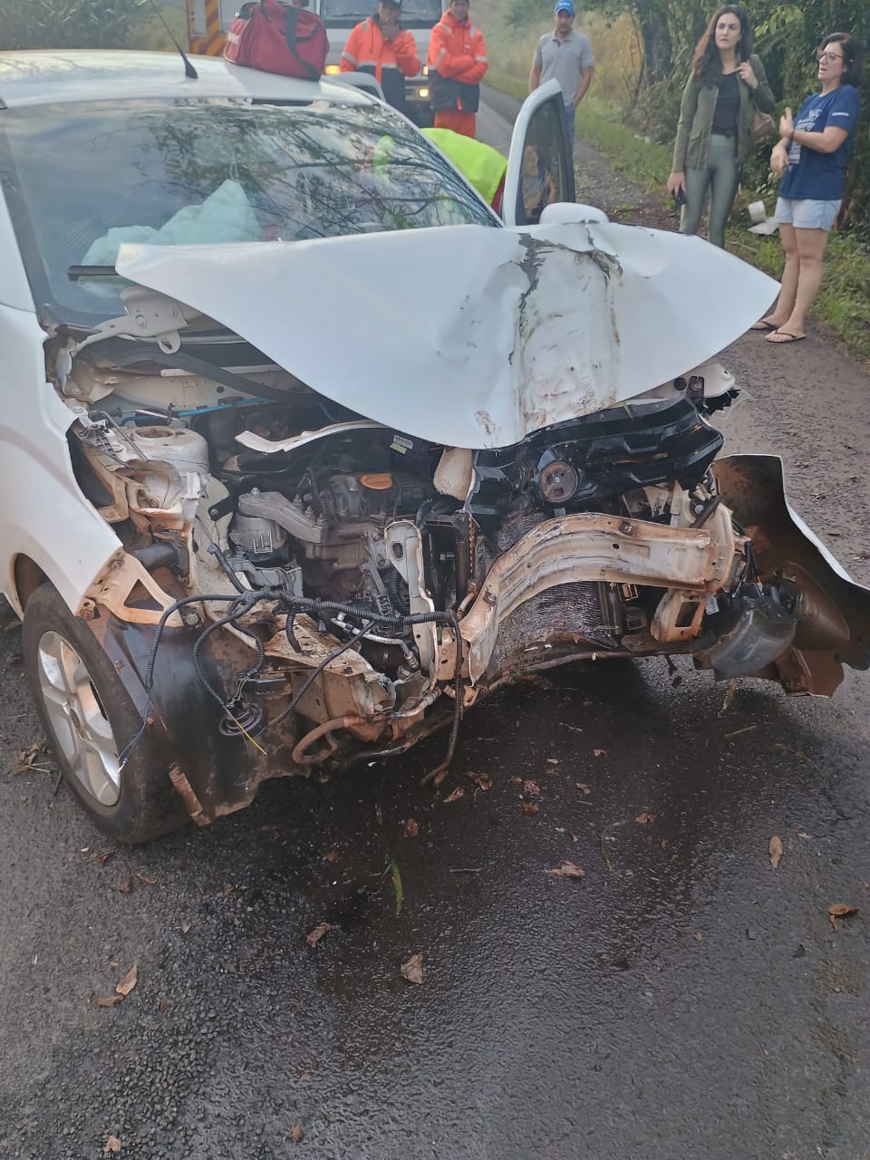 Mulher fica ferida após bater carro em árvore na SC-283